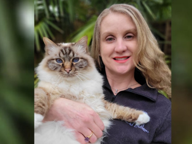 Cat care franchise The Cat Butler into the finals of the EWI...